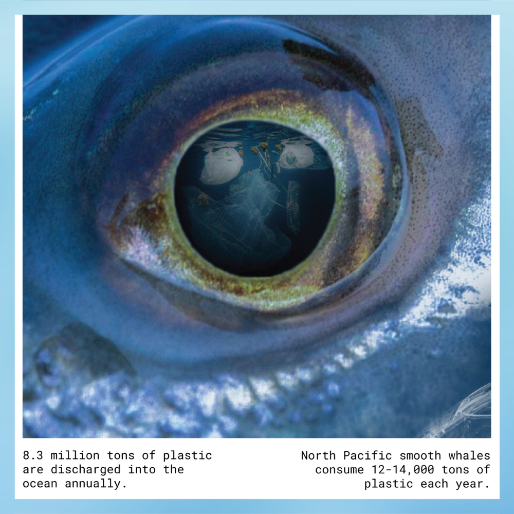 Lê Văn Tân - Show It Now 2023